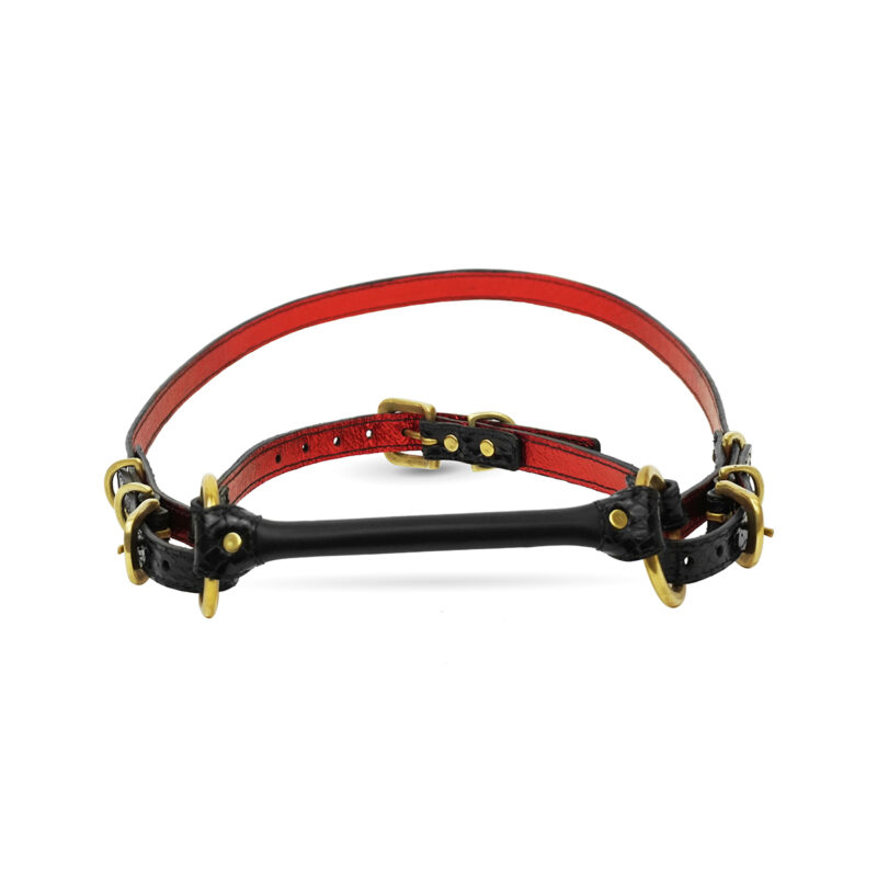 Snake Gag Bit + Reins - Gallery 58