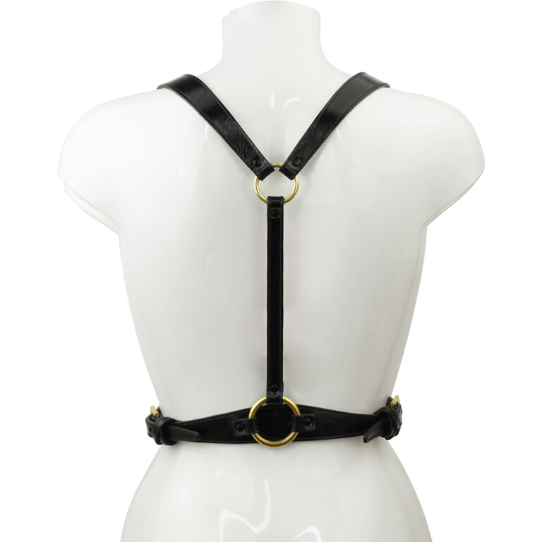 Body & Restraint Harnesses - Gallery 58